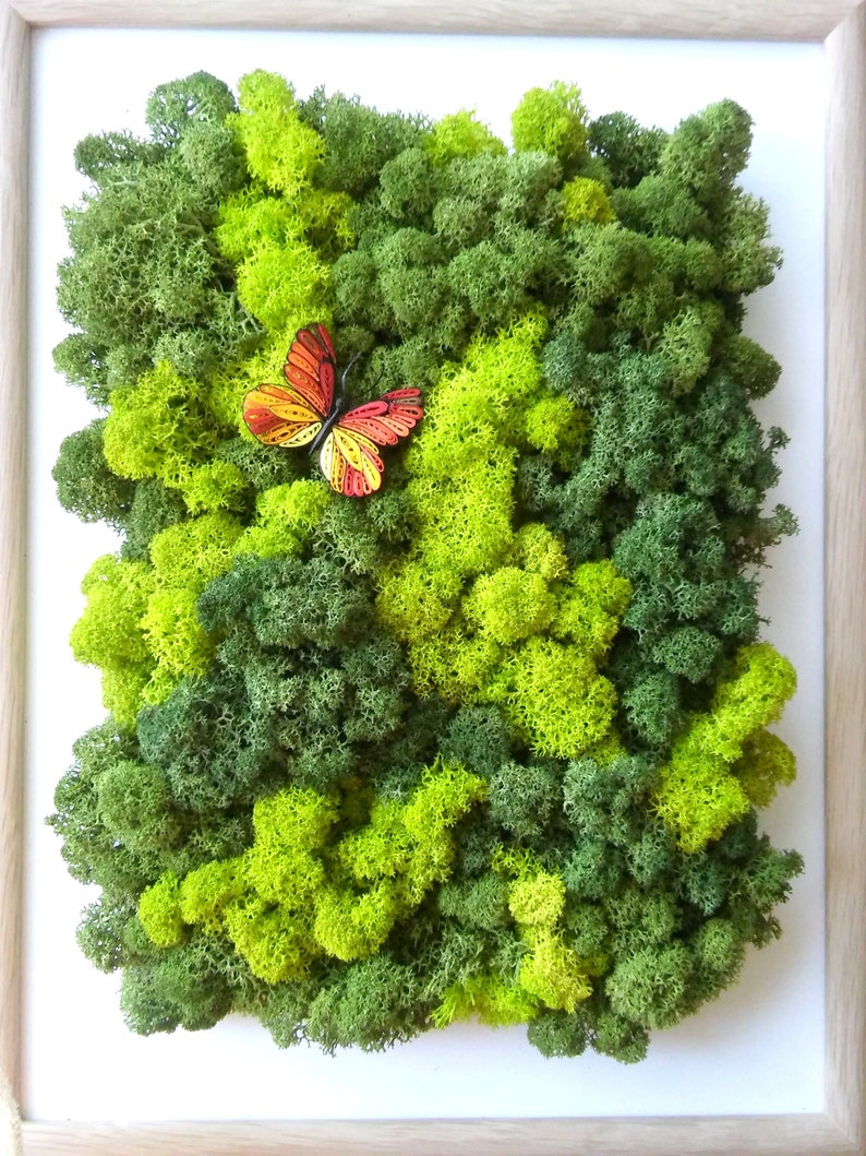 Scandinavian Moss Wall Art and Paper Quilling, Paper Butterfly ...