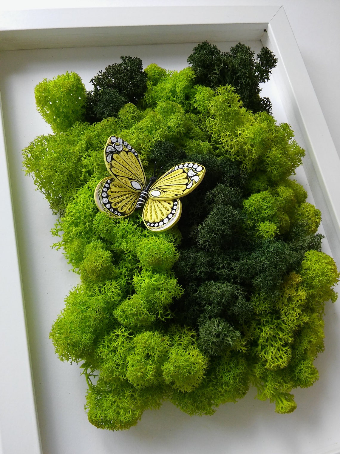 Scandinavian Moss Wall Art and Paper Quilling, Paper Butterfly ...
