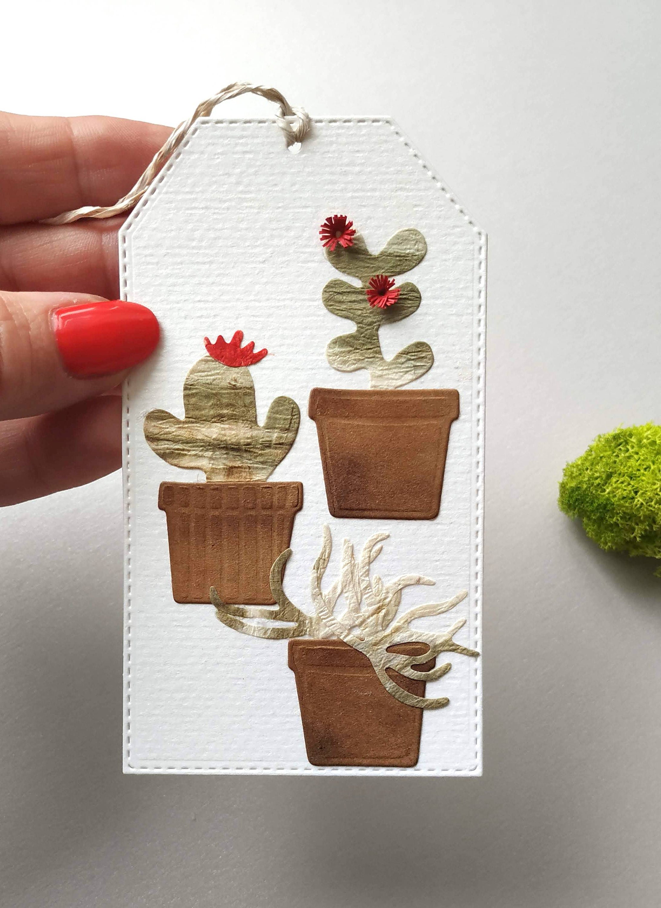 5 Cactus Gift Tags Cactus Plants in a Pot Tags Set of 5 - Etsy