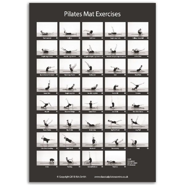 Pilates Bar Exercise Poster - Etsy