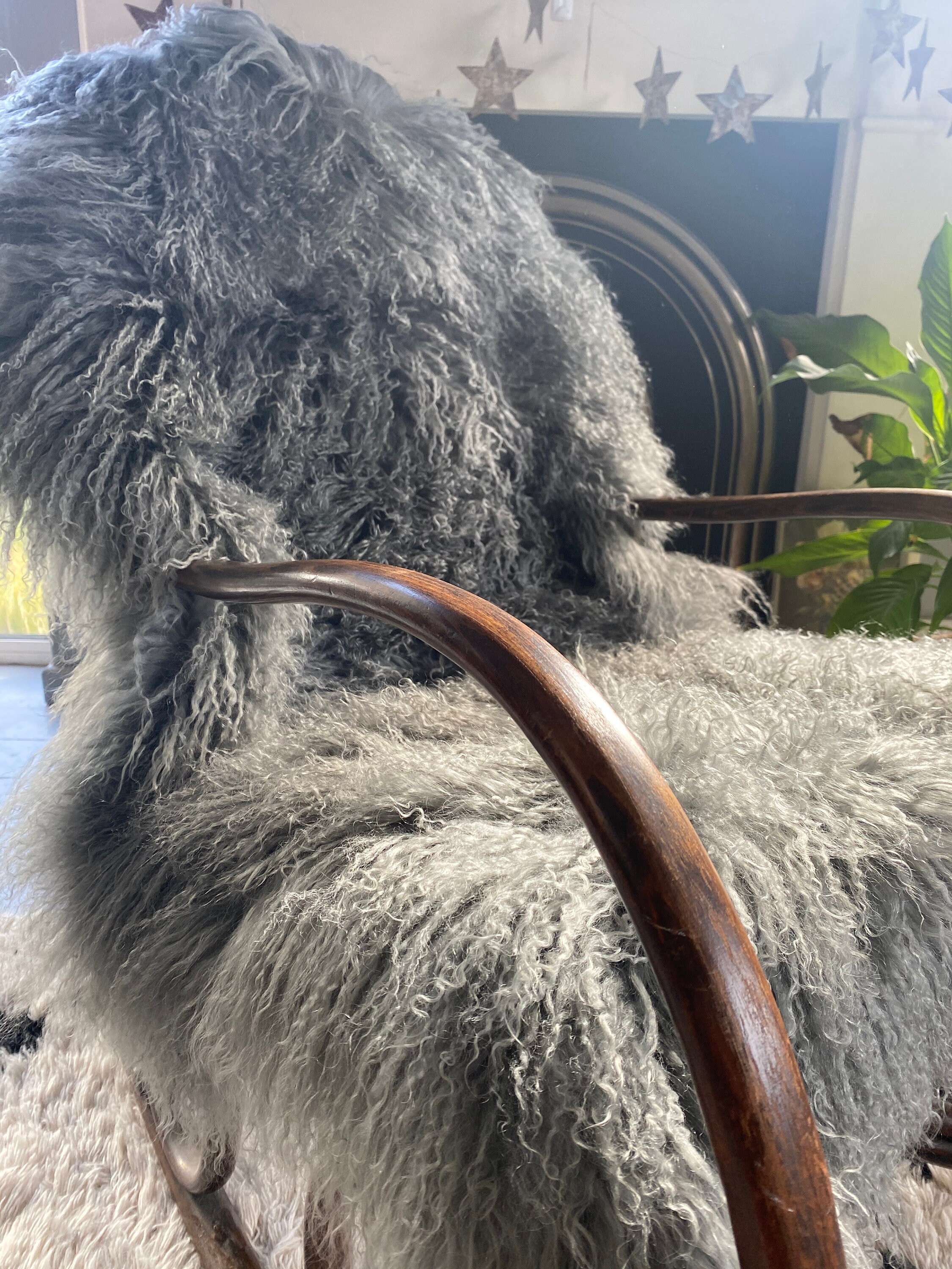 Mongolian Sheepskin / Tibetan Lamb Luxury Throw / RUG in GREY - Etsy