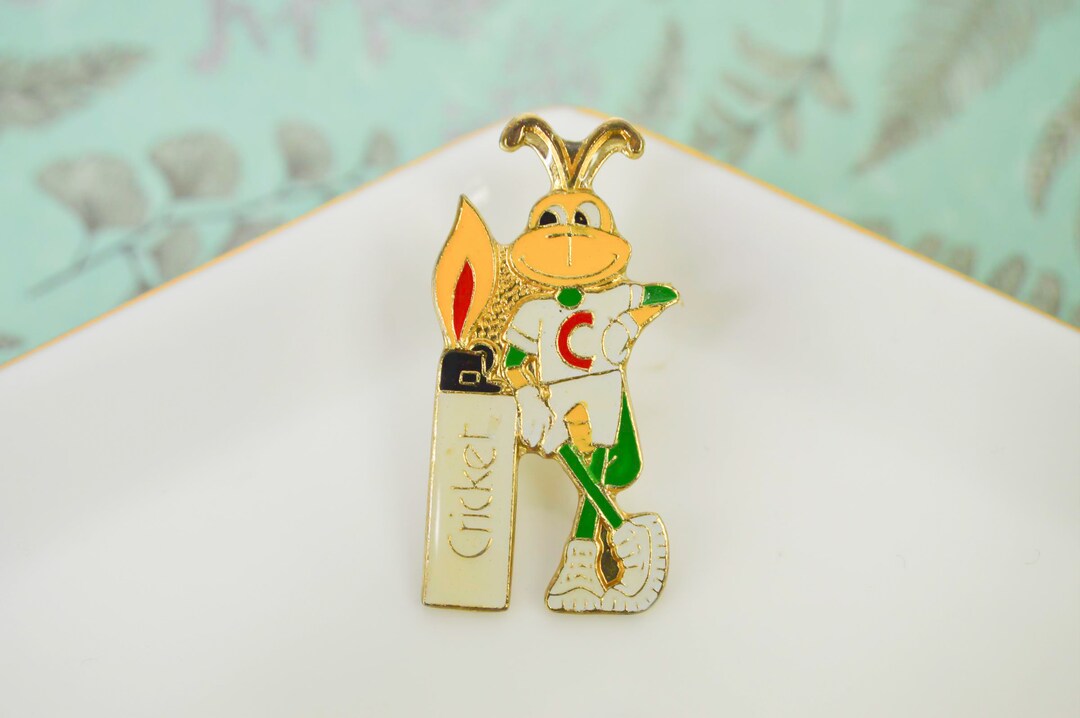 Lighter Pin, Locust Insect Character, Flame, Matches, Gas, Pack of ...