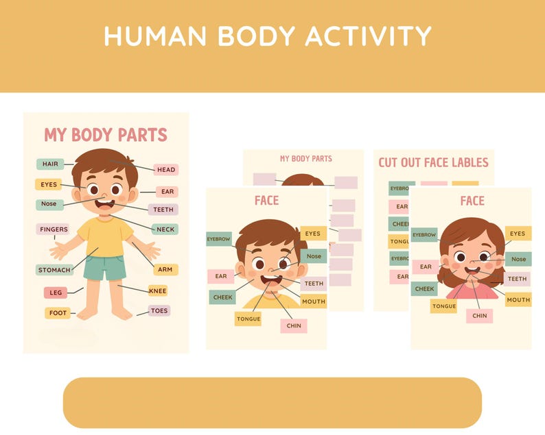 My Body Parts Printable Chart | Kids Human Anatomy Poster | Toddler ...