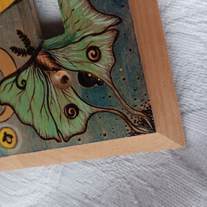 2 Toggle Light Switch Cover Unique Wood Floral Switchplate Fireflies ...