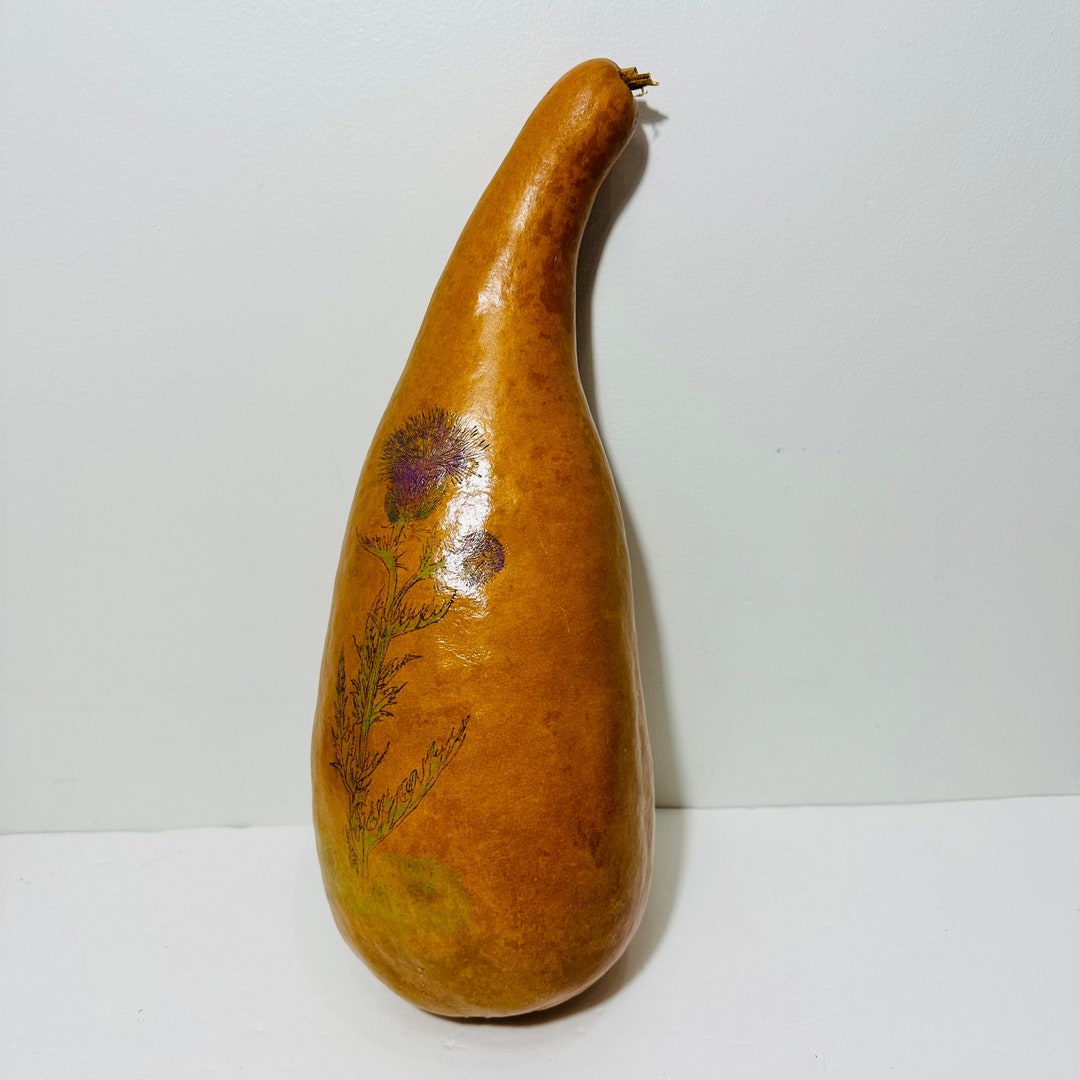 Hand Painted Decorative Dried Gourd Folk Art Cottage Core Decor - Etsy