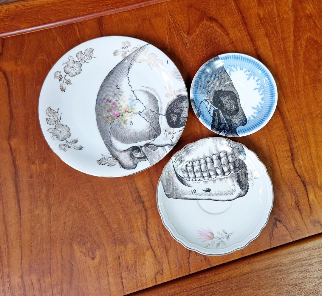 Set 3 Vintage Plates Skull, Vintage Anatomy Plates - Etsy