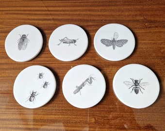 Handmade Ceramic Coasters Bizarre Set of 6 - Etsy