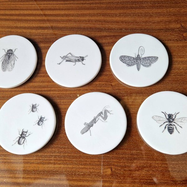 Insect Coasters - Etsy