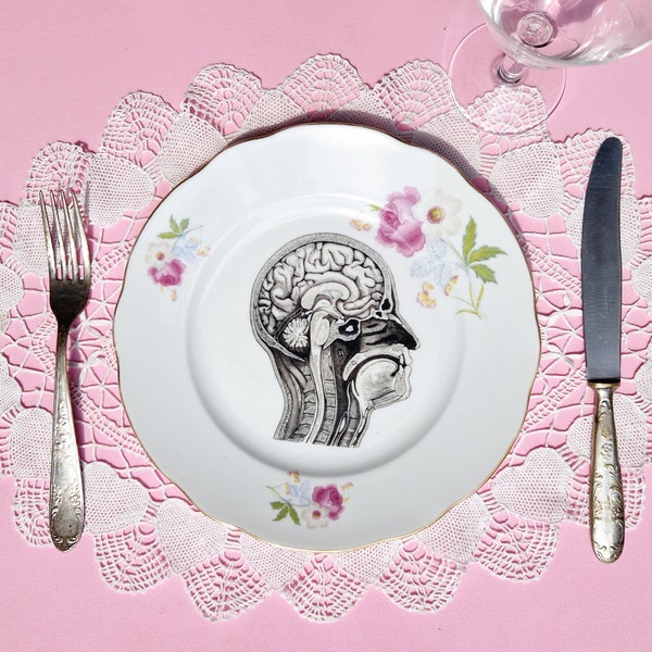 Anatomy Plates - Etsy