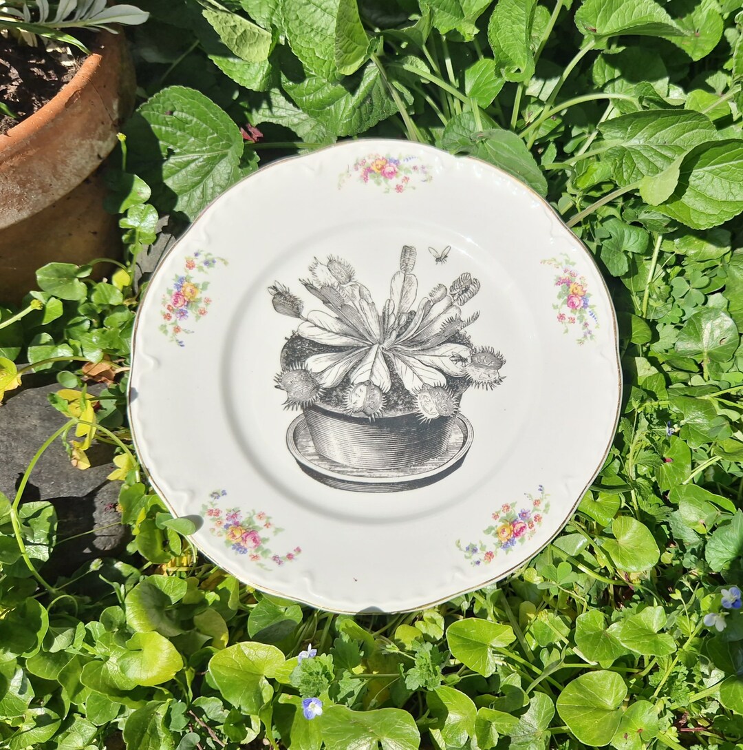 Venus Flytrap Vintage Dinner Plate - Etsy