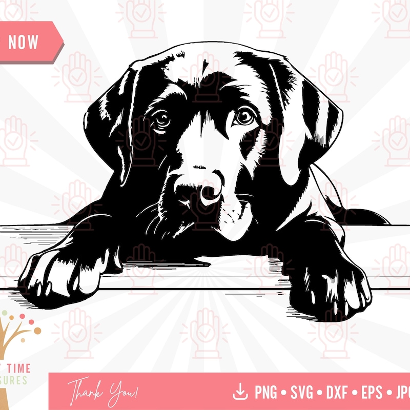 Labrador Retriever Clip Art Black and White - Etsy