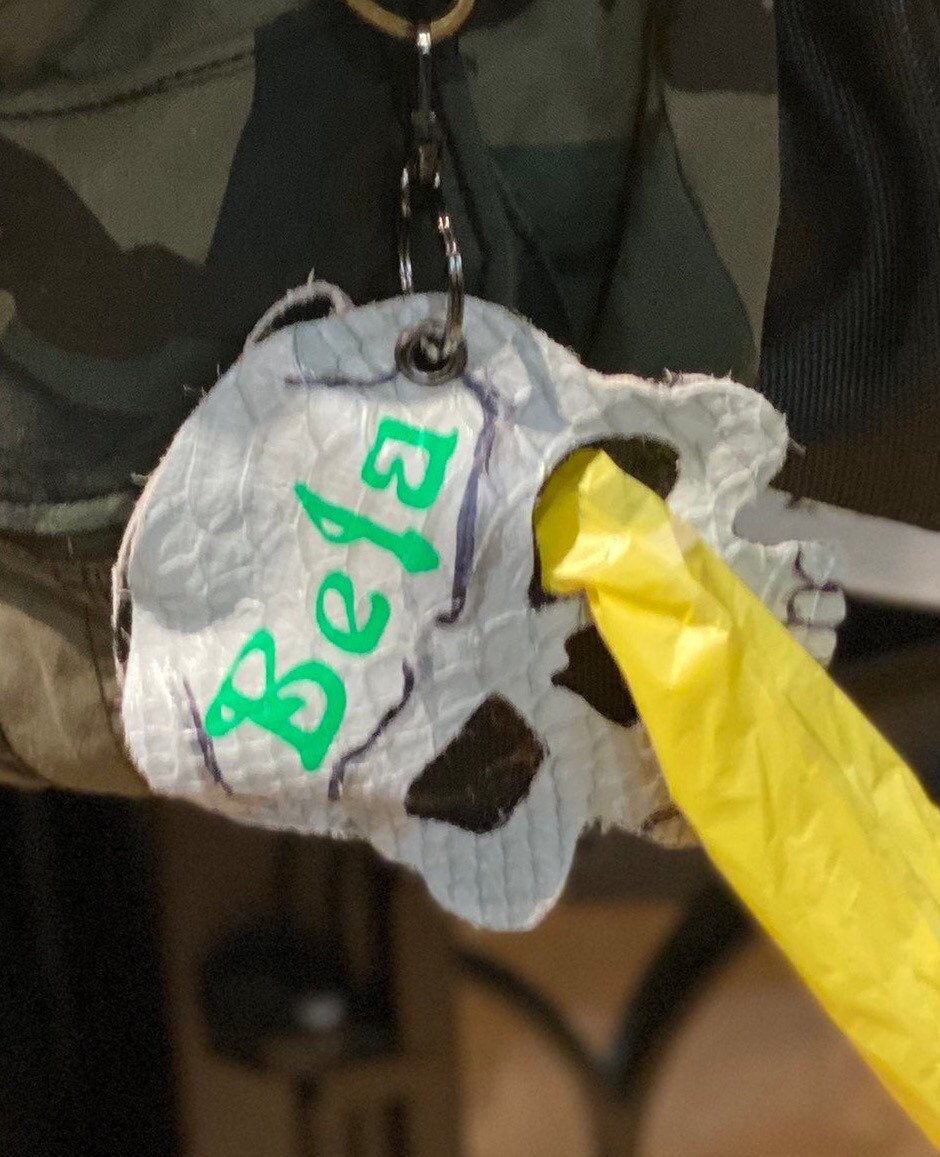 Skull Poop Bag Dispenser - Etsy