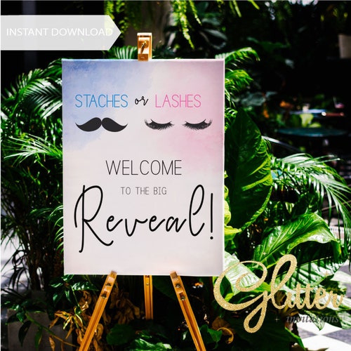 Lashes or Stashes Banner Gender Reveal Banner Pink or Blue - Etsy