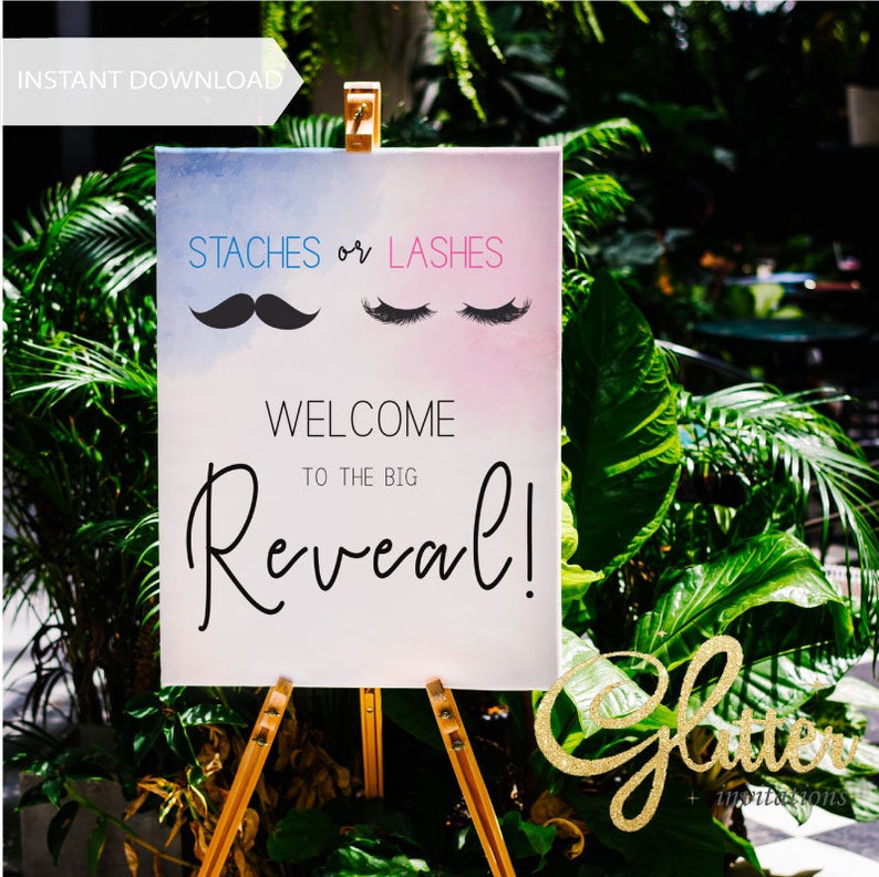 Staches or Lashes Blue and Pink Gender Reveal Shower | Etsy