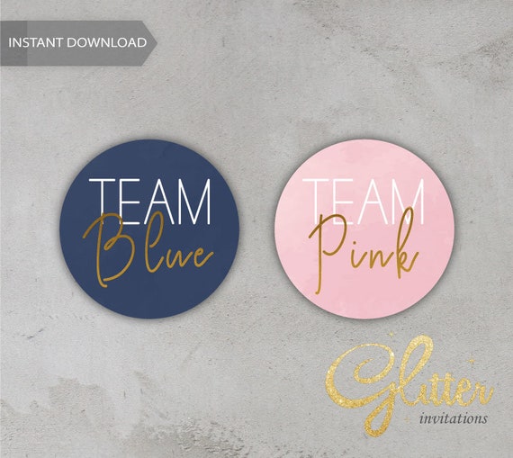 Team Pink Team Blue Stickers Navy blue and pink Gender | Etsy
