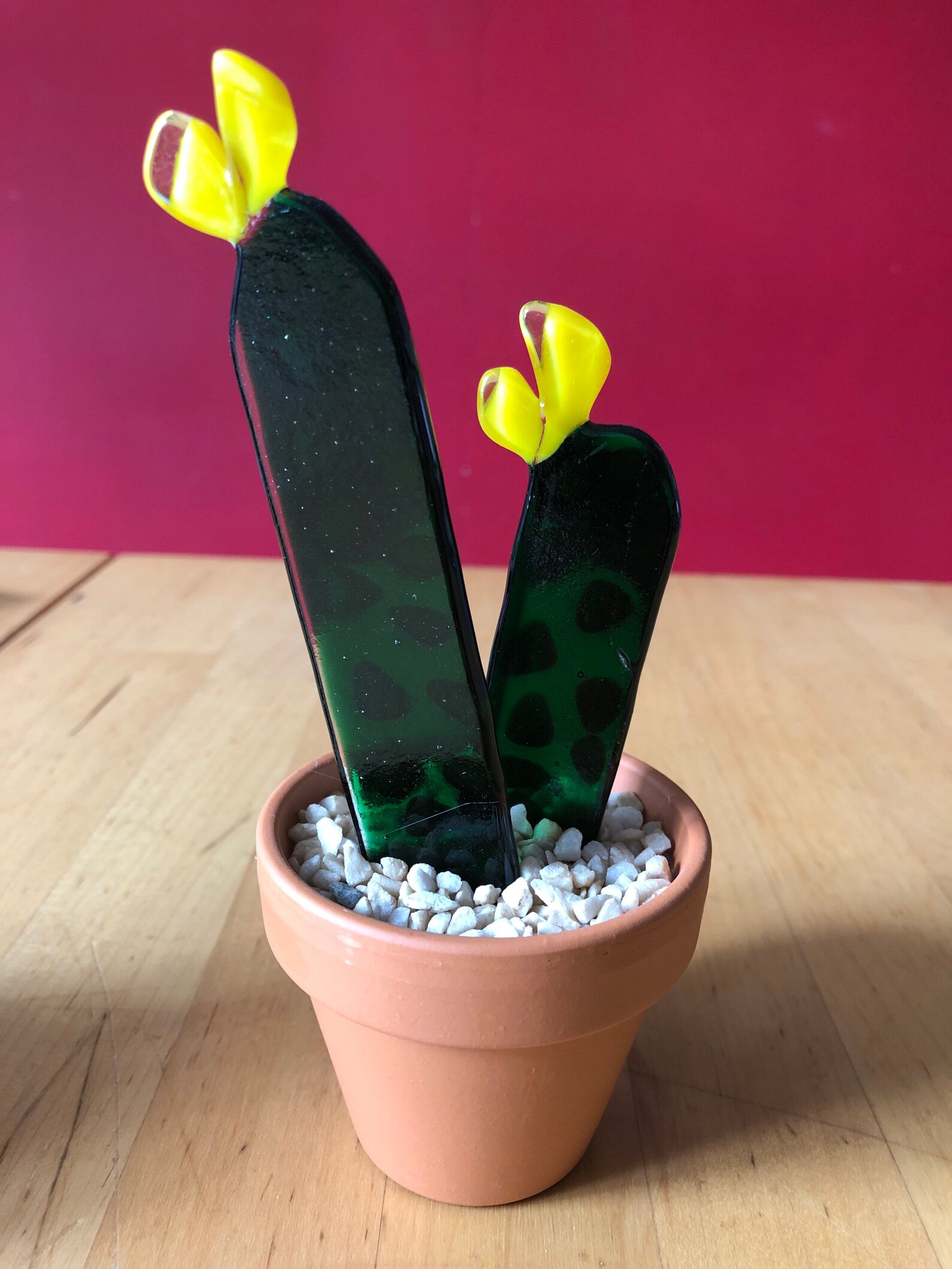 Tall Cactus Pot Fused Glass Art New Home Office Decor - Etsy
