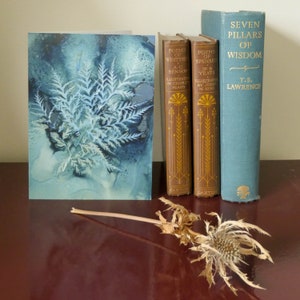 Botanical Art Card From an Original Wet Cyanotype Print of ...
