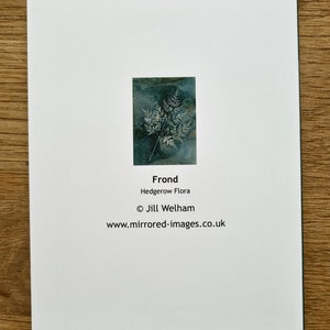 Botanical Art Cards, Multi Pack of Four Cards From Original Wet ...