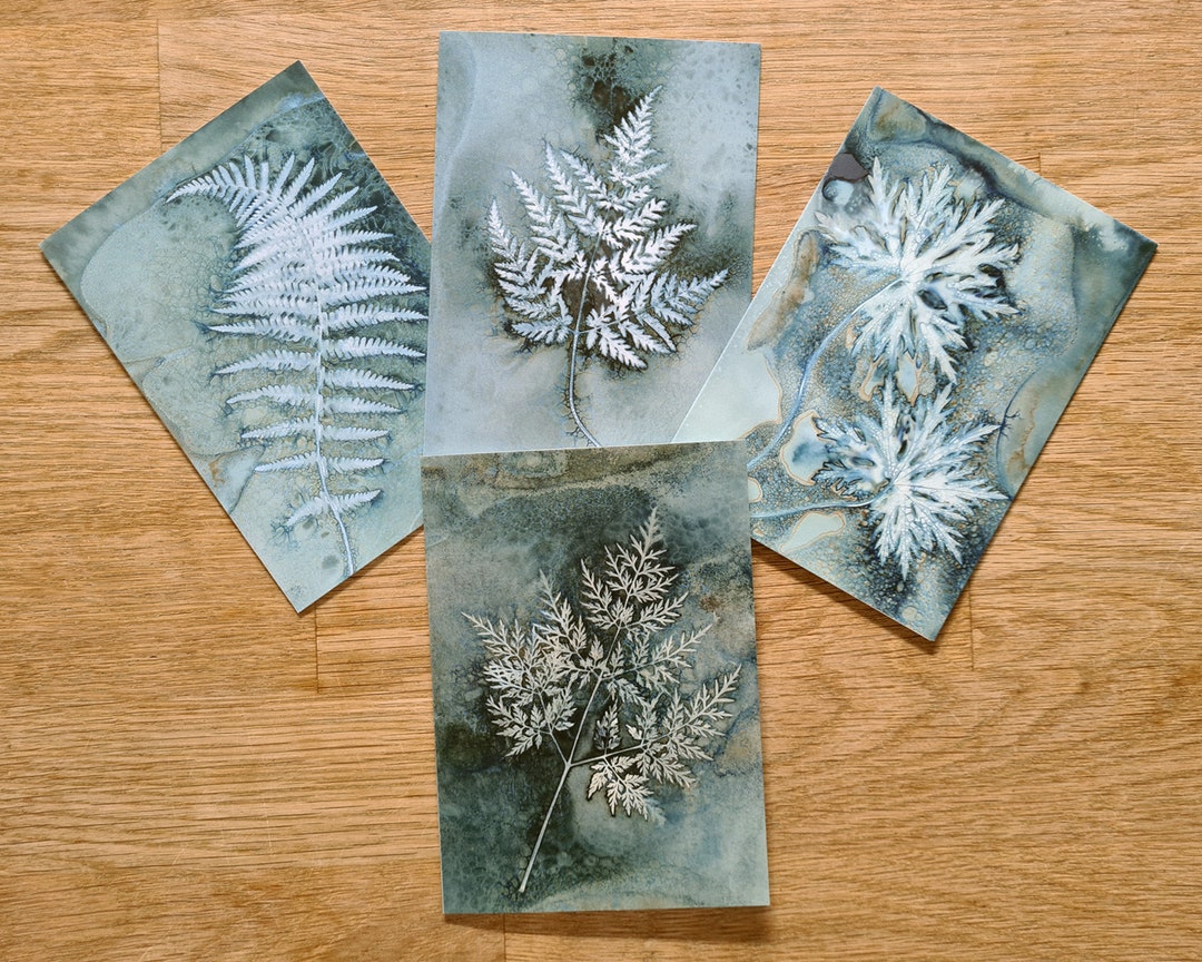 Botanical Art Cards, Multi Pack of Four Cards From Original Wet ...