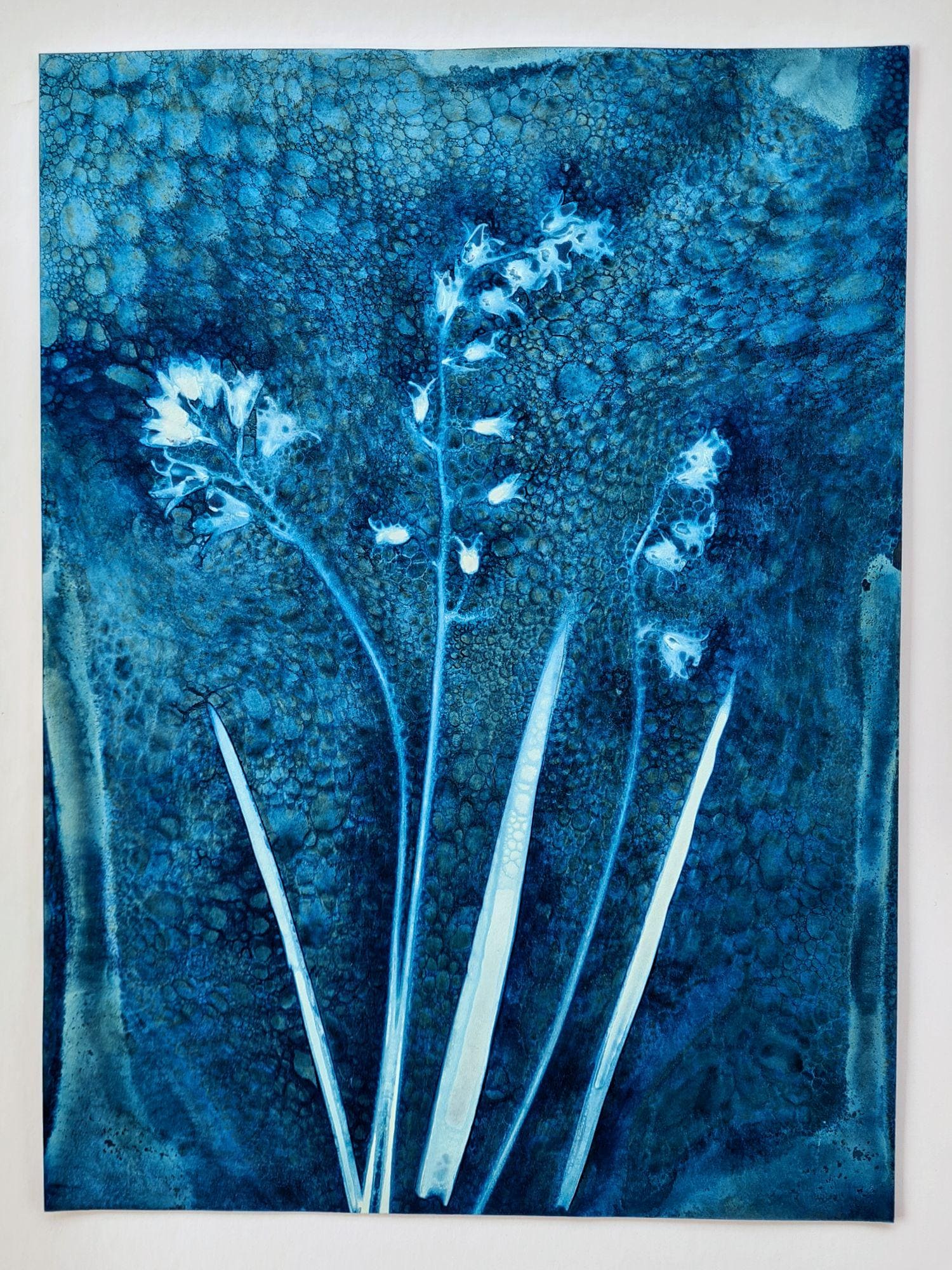 Original Wet Cyanotype Print of Three Bluebell Flowers and Leaves - Etsy