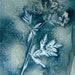 Botanical Art Cards, Multi Pack of Five Cards From Original Wet ...