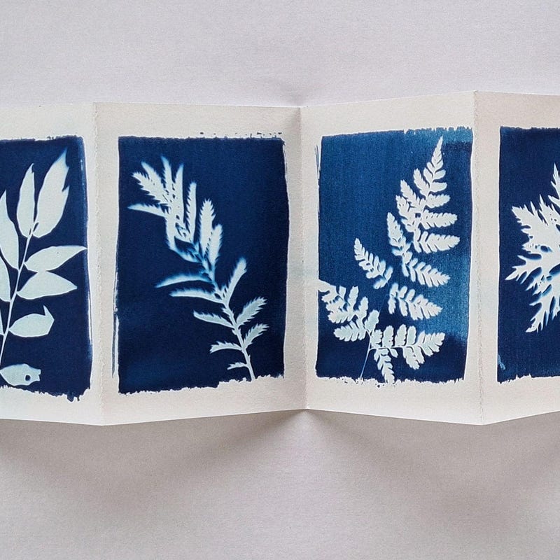 Concertina Book - Etsy