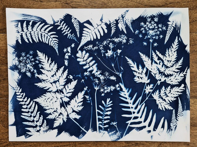 Original Blue and White Cyanotype Print of Hedgerow Flowers and Leaves ...