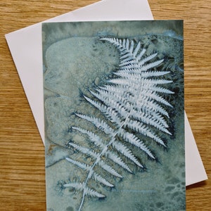 Botanical Art Cards, Multi Pack of Four Cards From Original Wet ...