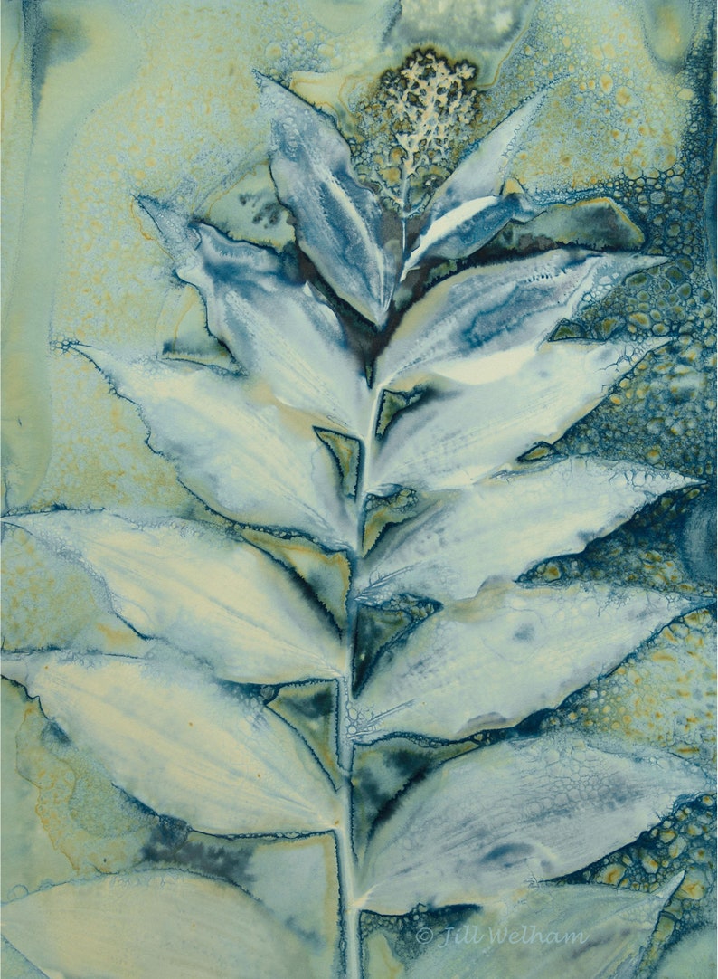 Botanical Art Cards Multi Pack of Five Cards From Original - Etsy