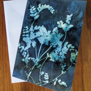 Botanical Art Cards, Multi Pack of Four Cards From Original Wet ...