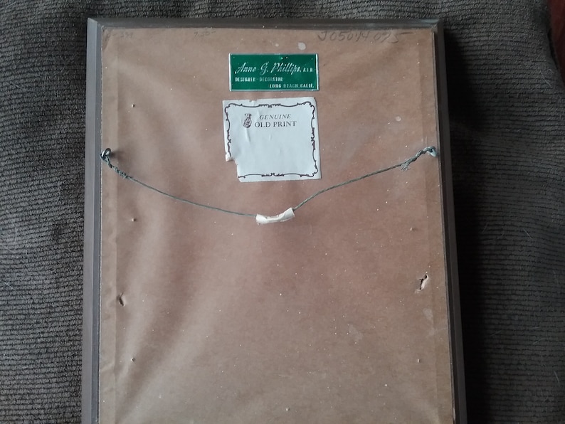 Vintage Joseph Ludlow Chromolithographs From Cassell's Pidgeon Book - Etsy