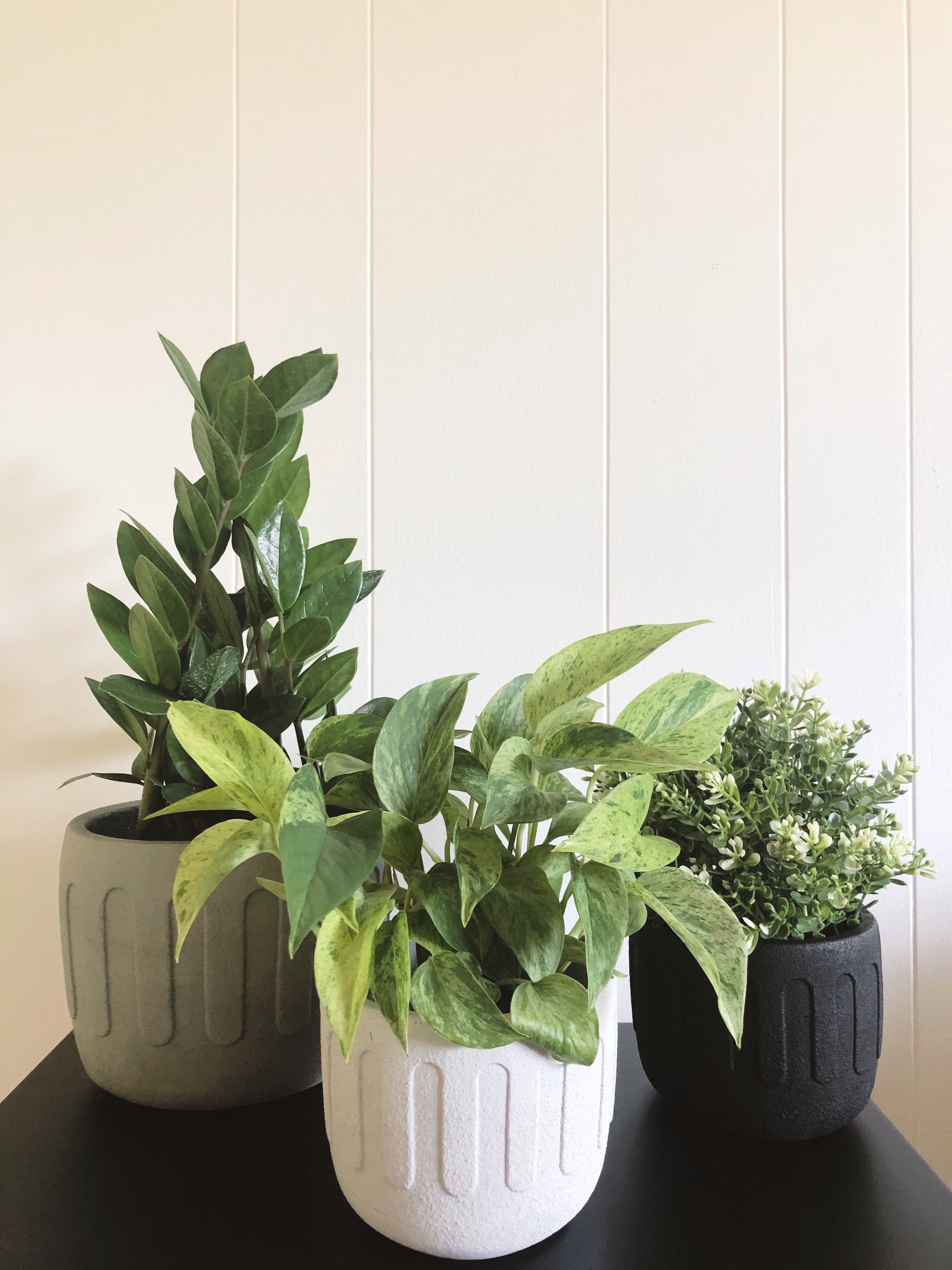 Arched Textured Planter Large | Etsy