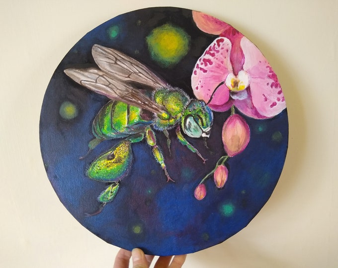 Rare XL Green Metallic Orchid Bee Framed Taxidermy Euglossa Species - Etsy