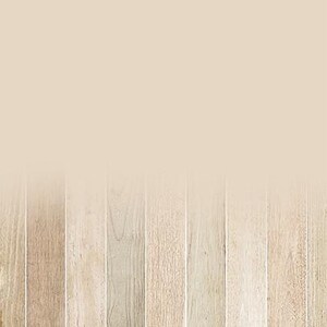 Studio Endless Newborn Photography Backdrop/floor SSF002 - Etsy