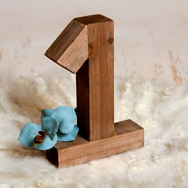 One Year Photo Prop - Etsy