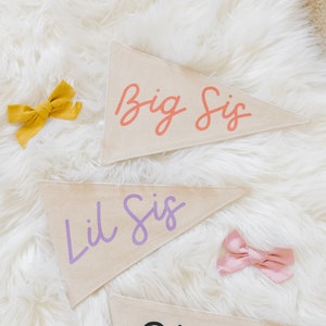 Sis Pennant Banner, Gender Reveal Sign, Big Sis Pregnancy Reveal, Big ...