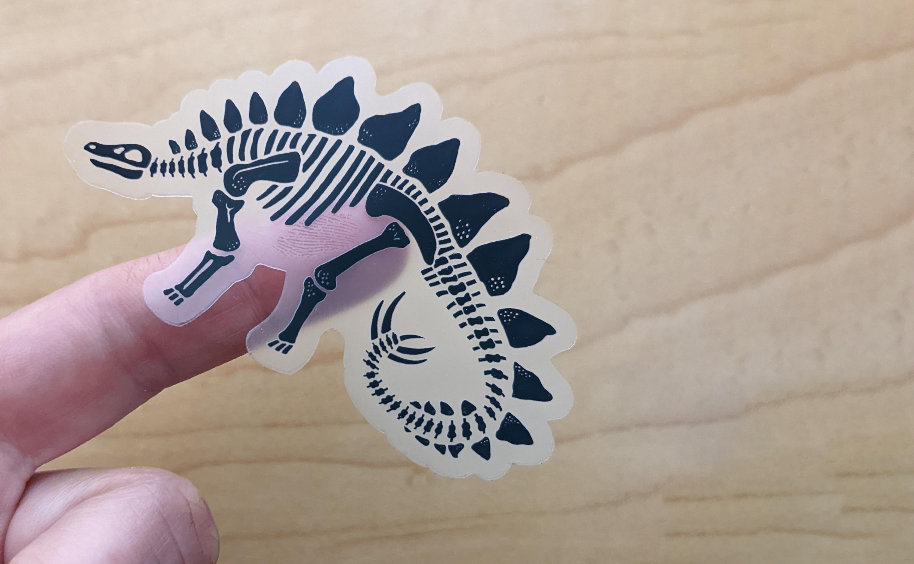 Clear Stegosaurus Fossil Dinosaur Sticker - Etsy