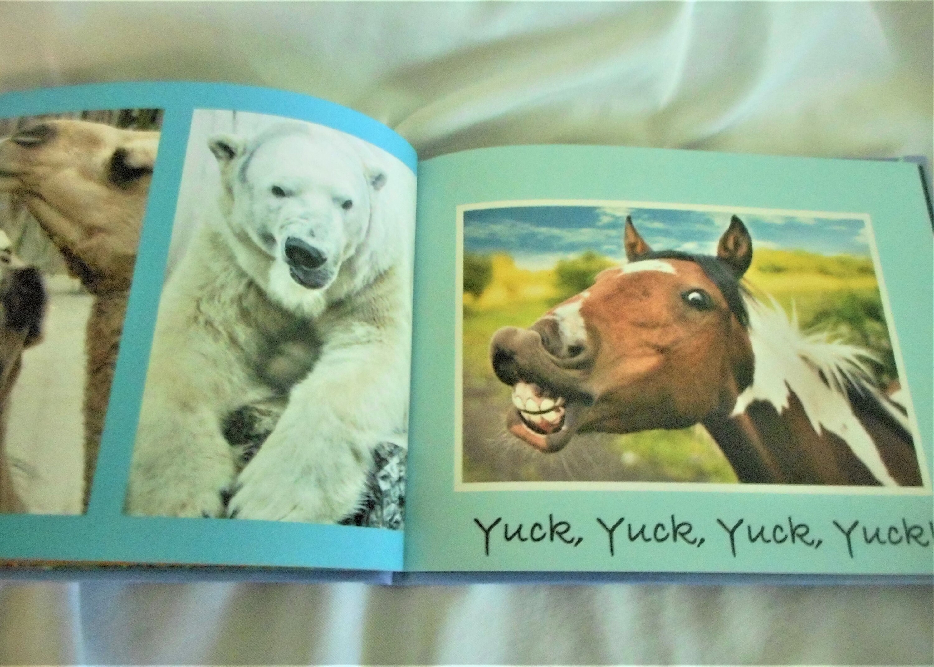 Funny Faces ... 6x8 Inches Small Photo Book Coffee Table - Etsy