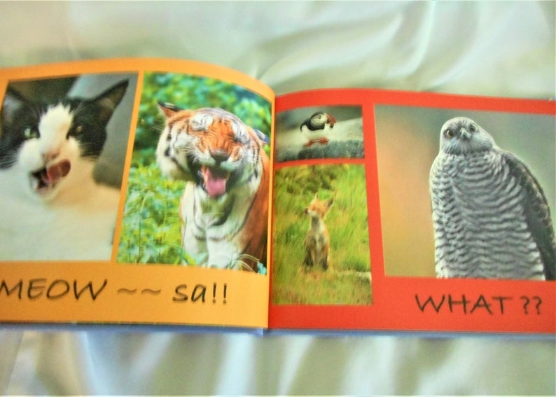 Funny Faces ... 6x8 Inches, Small Photo Book, Coffee Table Book, Fun ...
