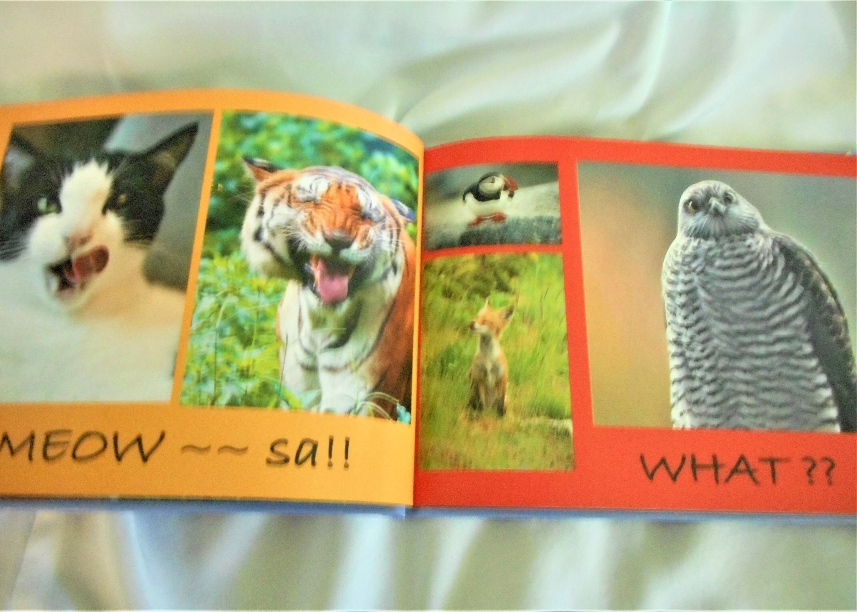 Funny Faces ... 6x8 Inches, Small Photo Book, Coffee Table Book, Fun ...