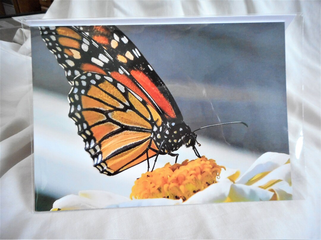 The Monarch ... Birthday Greeting Card, 5x7 Size, Greeting Inside ...