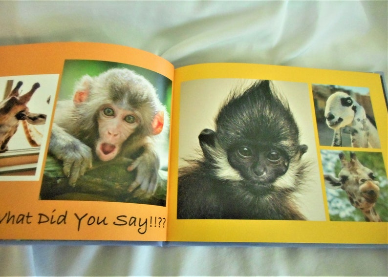 Funny Faces ... 6x8 Inches, Small Photo Book, Coffee Table Book, Fun ...