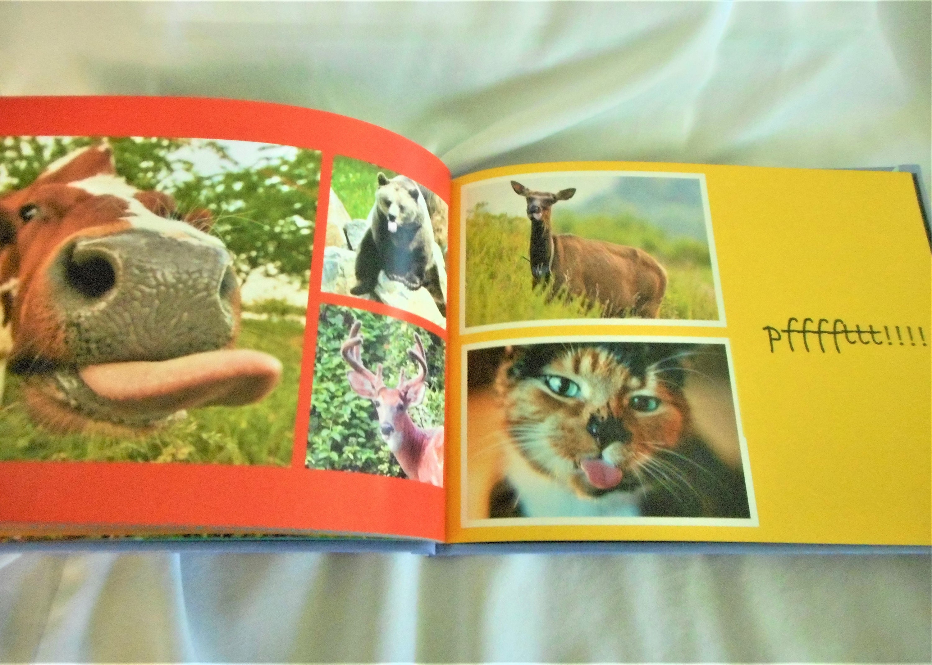 Funny Faces ... 6x8 Inches, Small Photo Book, Coffee Table Book, Fun ...