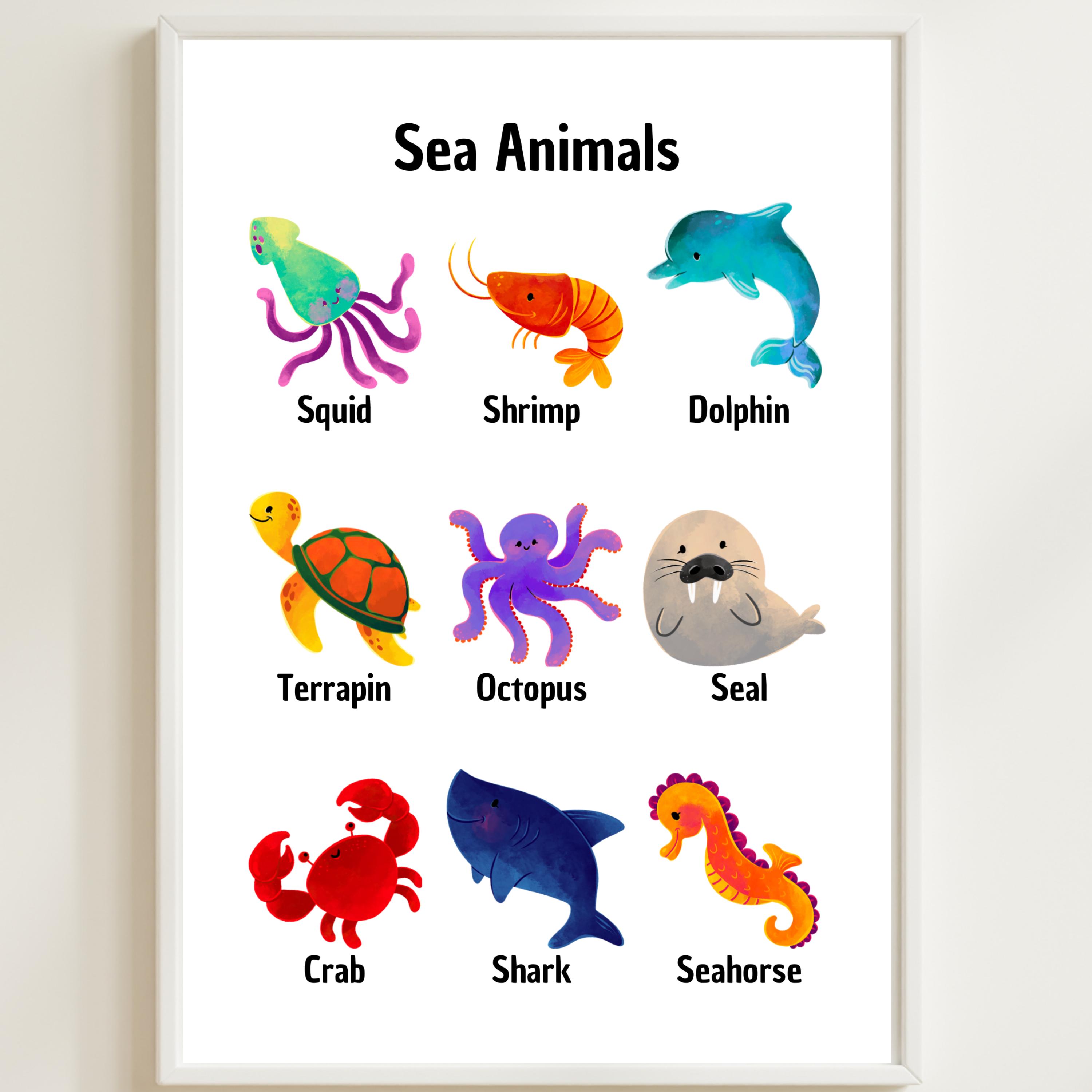 Colorful Simple Sea Animals Educational Poster Fun Classroom Decor ...