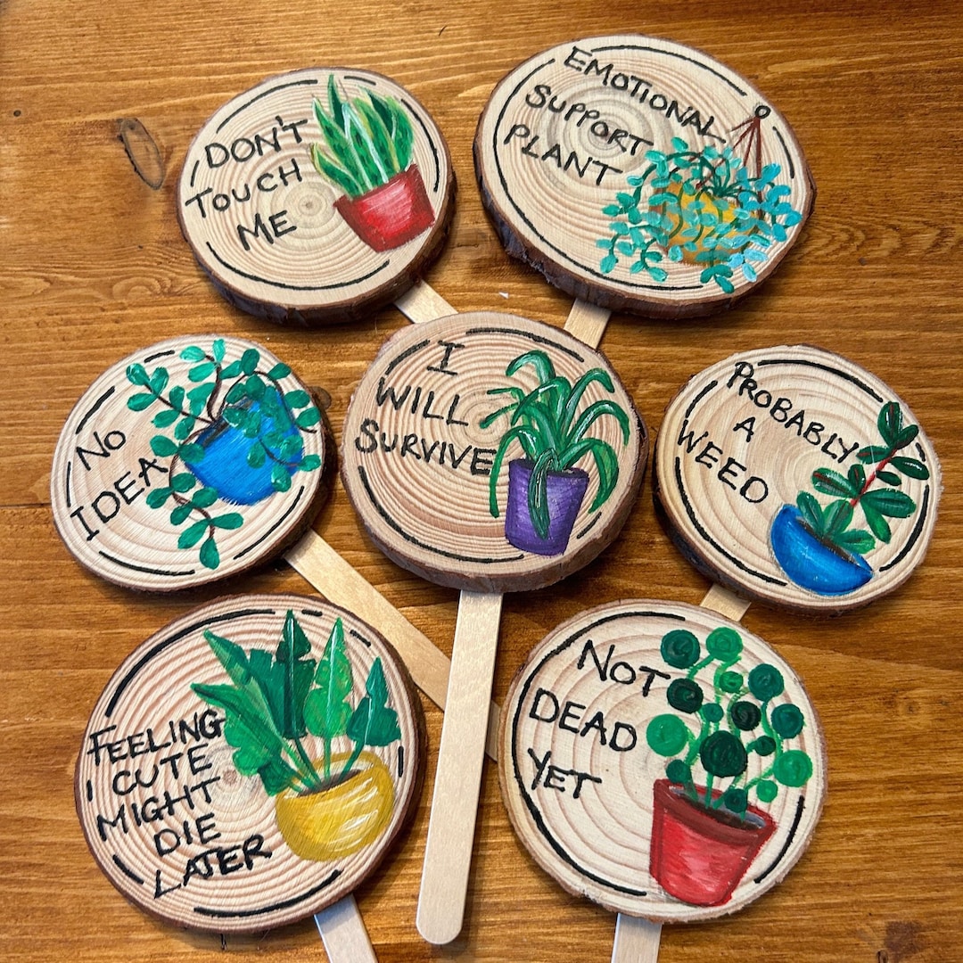 Small Personalised Plant Pot Label, Funny Wooden Plant Markers for ...