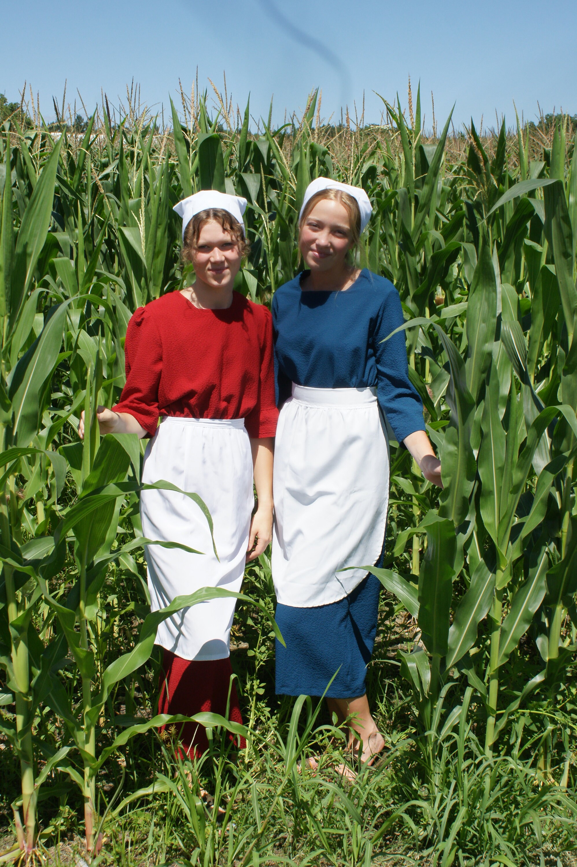 Amish Farmer's Daughter Costume Basic Outfit Dress Apron - Etsy