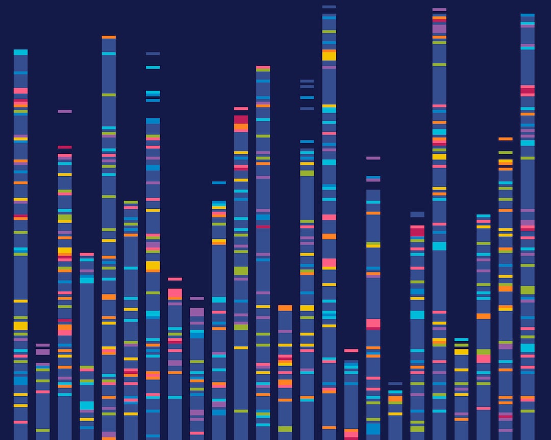 DNA Cross Stitch Pattern: Genome Sequencing Chart (PDF Counted Chart ...