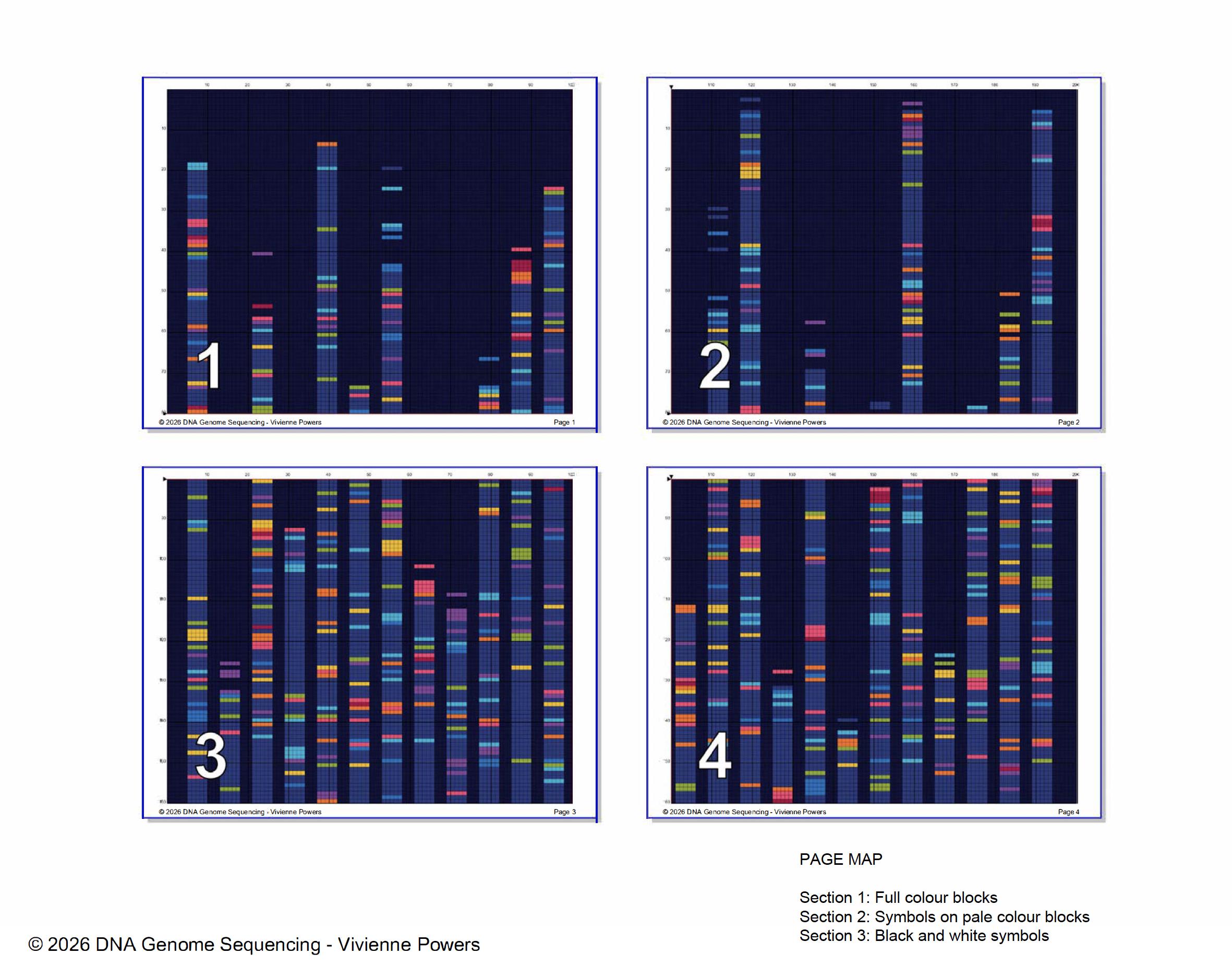 DNA Cross Stitch Pattern: Genome Sequencing Chart (PDF Counted Chart ...