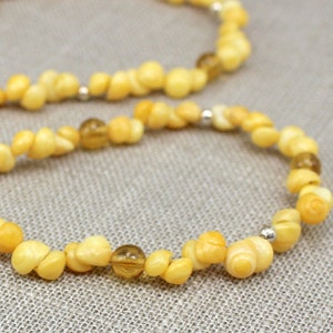 Shell Necklace, Littorina Snail Shells Necklace, Beach Necklace, Shell ...