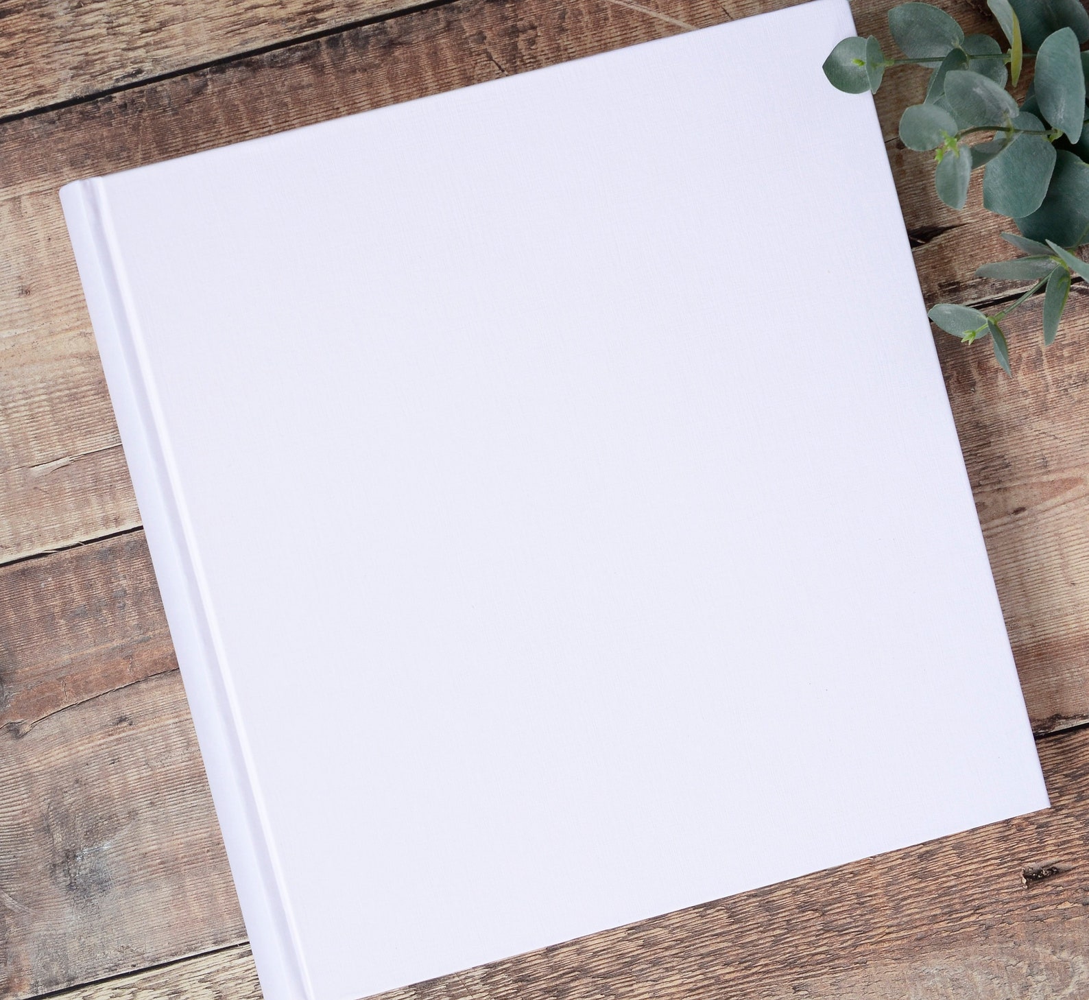 Large White Traditional Book Bound Plain Photograph Album With Opaque ...